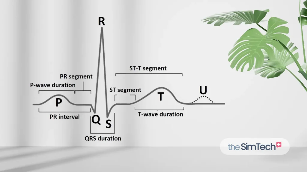 A Healthcare Educator's Guide to Interpreting ECG Images